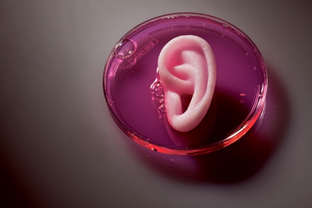 Journal Of Life: 人工器官及幹細胞技術結合DNA疾病掃描將啟動人類壽命延長 ( Growing New Organs ...